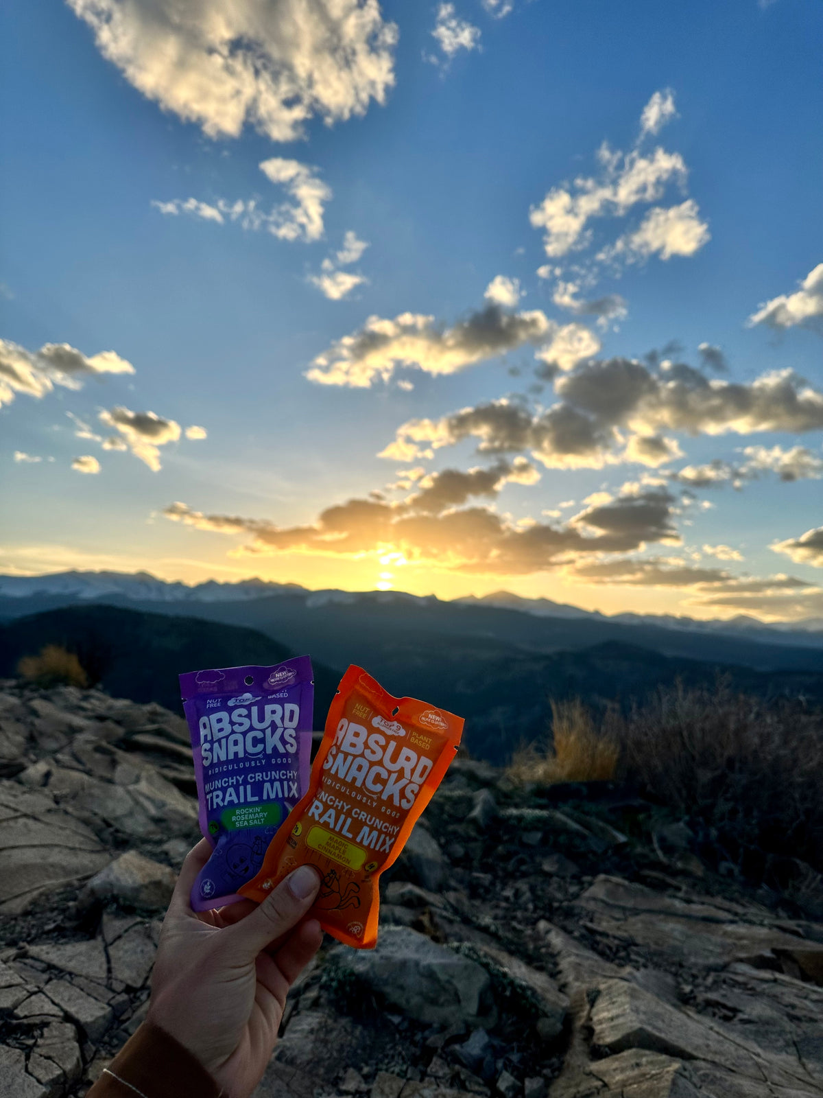 Absurd Snacks - Top 9 Allergy Free Trail Mix